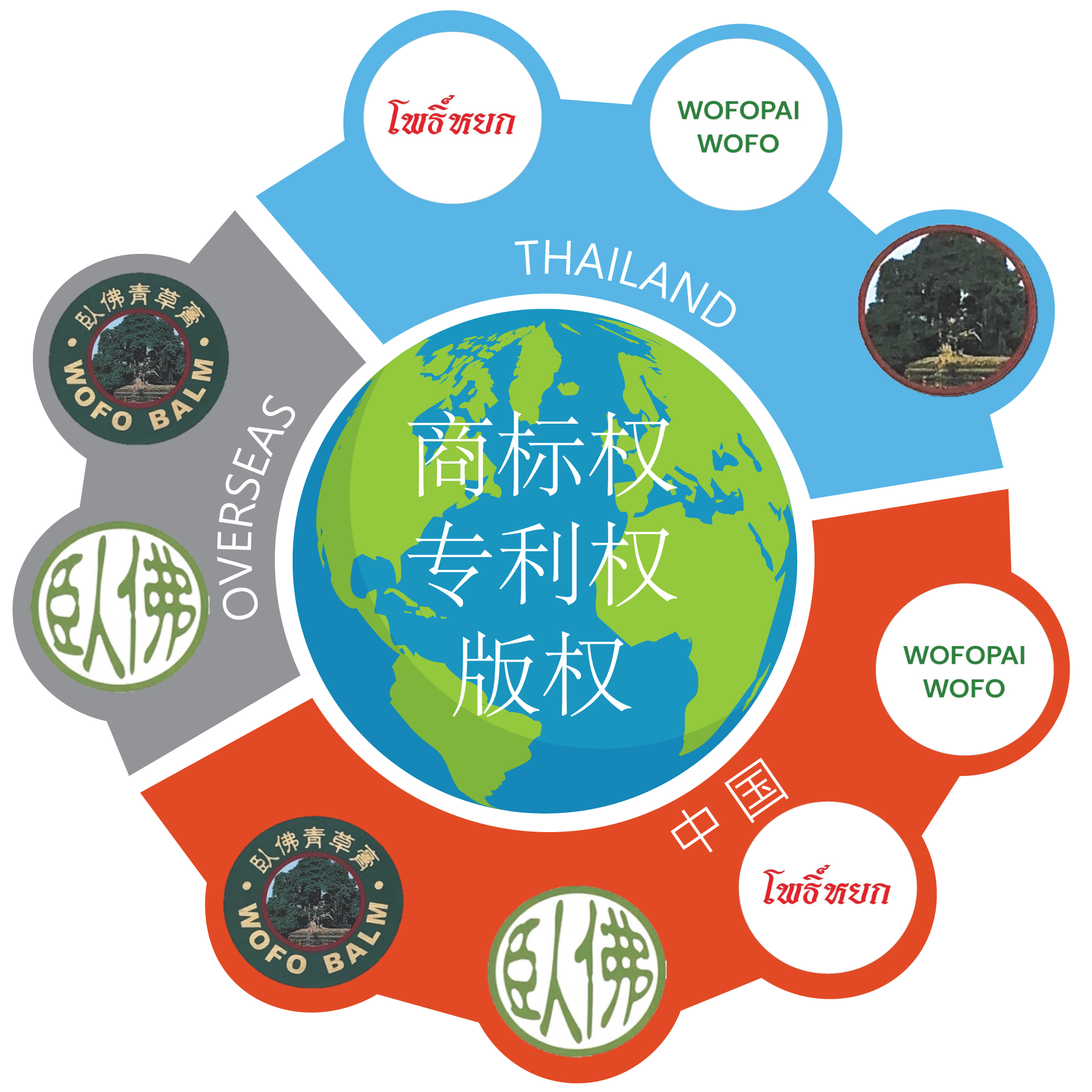 เกี่ยวกับเรา CN - wofo